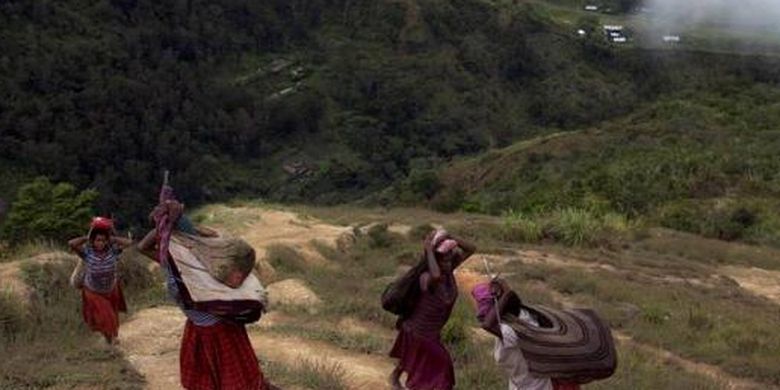 Noken, Tas Tradisional khas Papua yang diakui UNESCO
