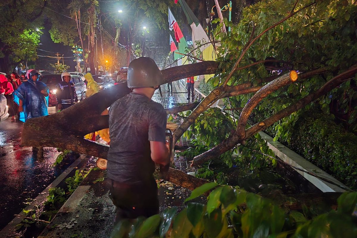 Hujan Deras di Medan, Ranting Pohon Jatuh Timpa Mobil yang Melintas