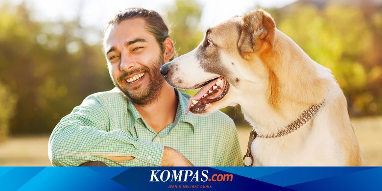 Terancam Bahaya, Studi Jelaskan Insting Anjing Selamatkan Tuannya