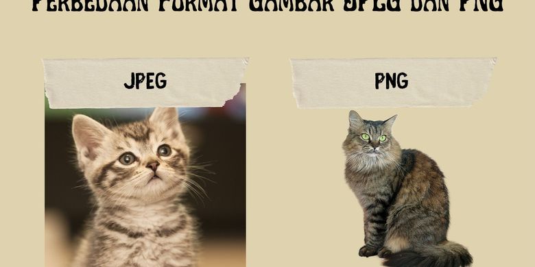 Perbedaan Format Gambar JPEG dan PNG