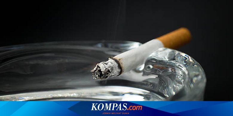 WHO: Angka Perokok Turun Secara Global