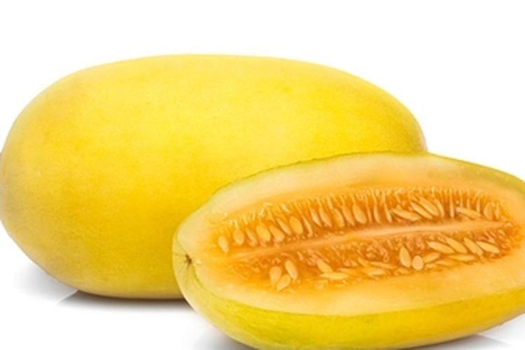 Cara Menanam Timun Suri, Buah yang Banyak Ditemukan Saat Ramadhan