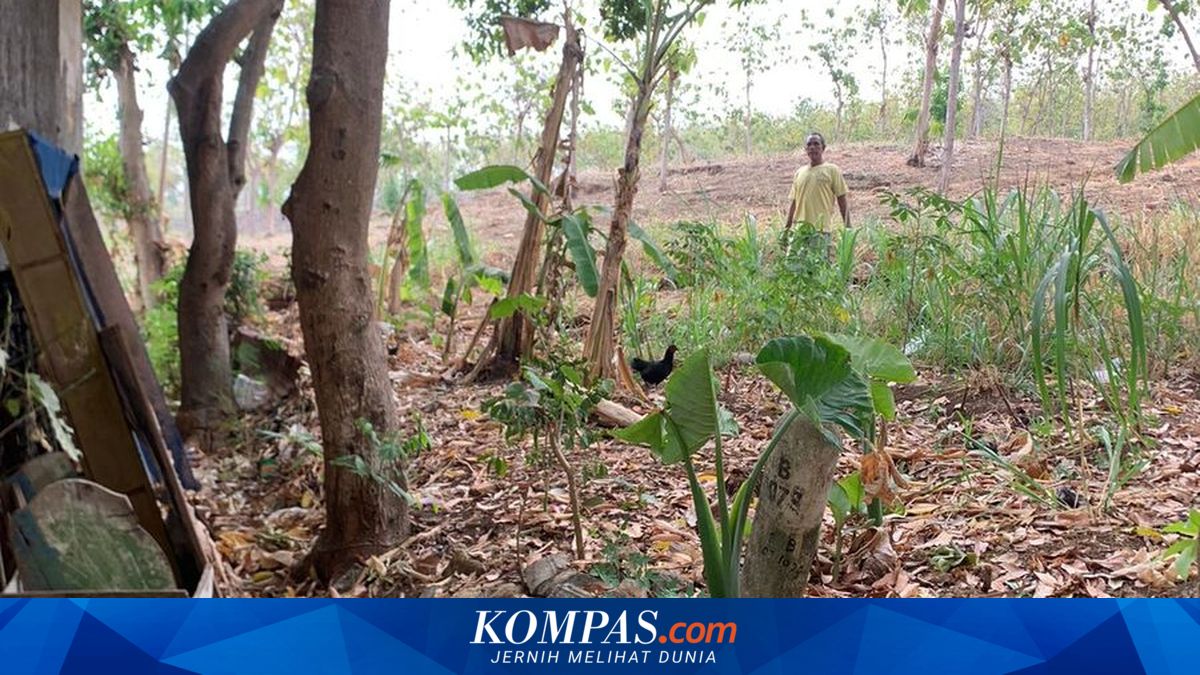Tangis Mbah Siyem Bersaudara, Tanah 1,7 Hektar Warisan Bapak Berubah ...
