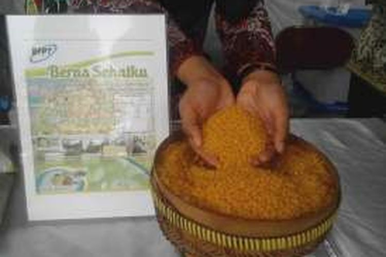 Beras Siger, Bahan Pangan Berbahan Dasar Singkong