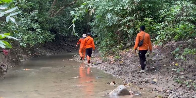 Berita Terkini Harian Nenek Hilang Di Hutan Buton Selatan Terbaru Hari ...