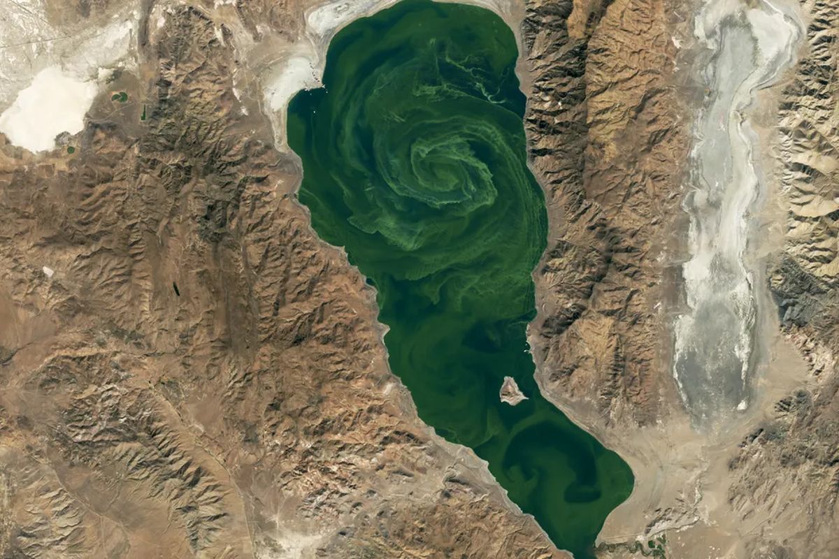 Foto Satelit Tangkap Alga Beracun Mekar di Danau Nevada, Peninggalan ...