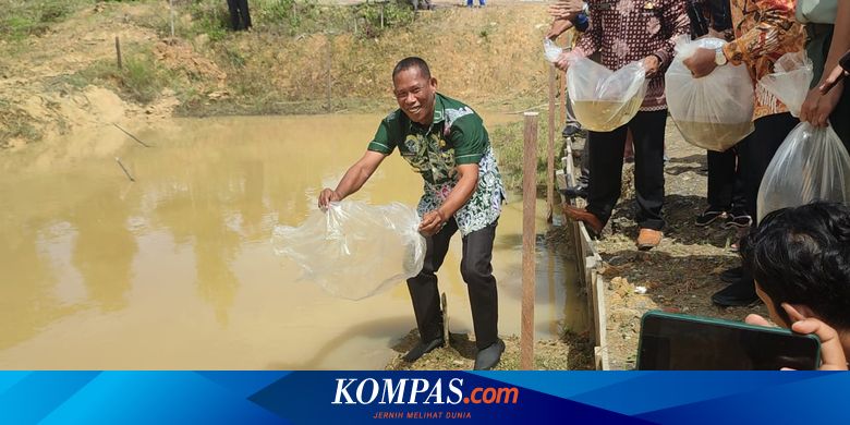 Upaya Pemkab Bulungan Tingkatkan Produktivitas Perikanan, dari Saluran Bantuan hingga Pemetaan ...