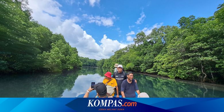 Menyusuri Desa Talaga Halmahera Barat, Pesona Mangrove dan Gamkonora ...