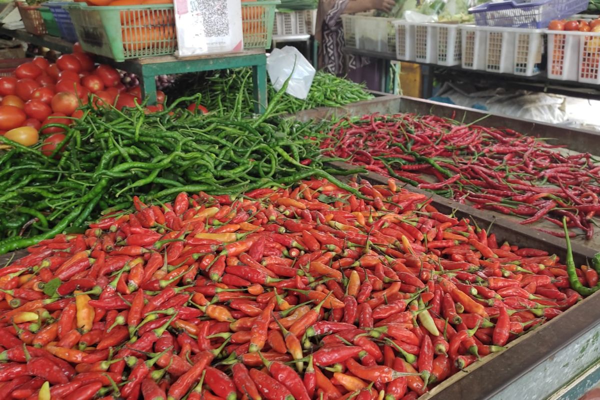 Harga Cabai Merah Meroket di Batam Tembus Rp110.000 per Kilogram