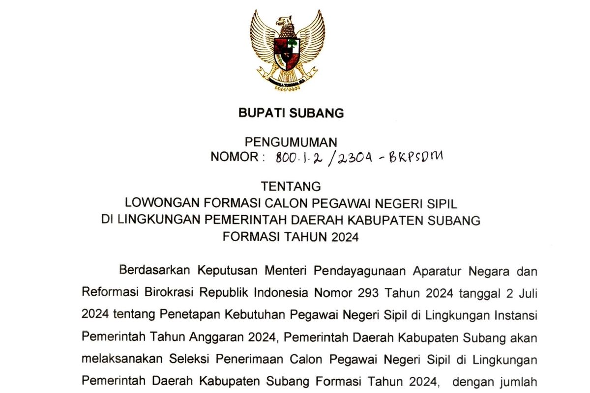 Seleksi CPNS 2024 Pemkab Subang, Cek Daftar Formasi yang Dibutuhkan