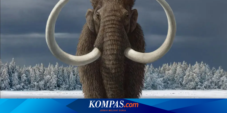Ahli Klaim Mammoth Berbulu Akan Hidup Kembali Tahun 2028