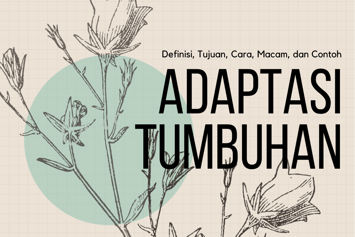 Adaptasi Tumbuhan: Definisi, Tujuan, Cara, Macam, dan Contohnya