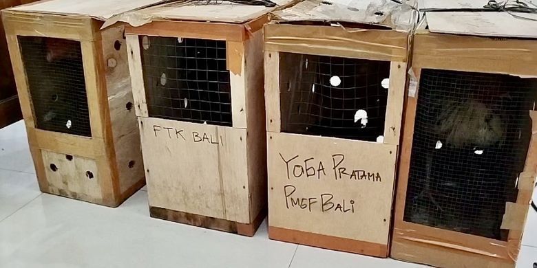 Daftar Barang Bukti Penembakan 3 Polisi di Way Kanan, Ada Uang, 20 ...