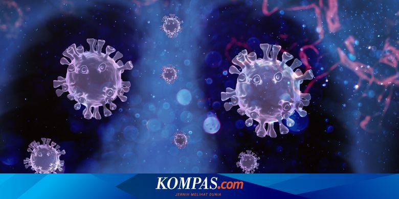 Apa Itu HPV atau Human Papillomavirus? Kenali Bahaya dan Cara Pencegahannya
