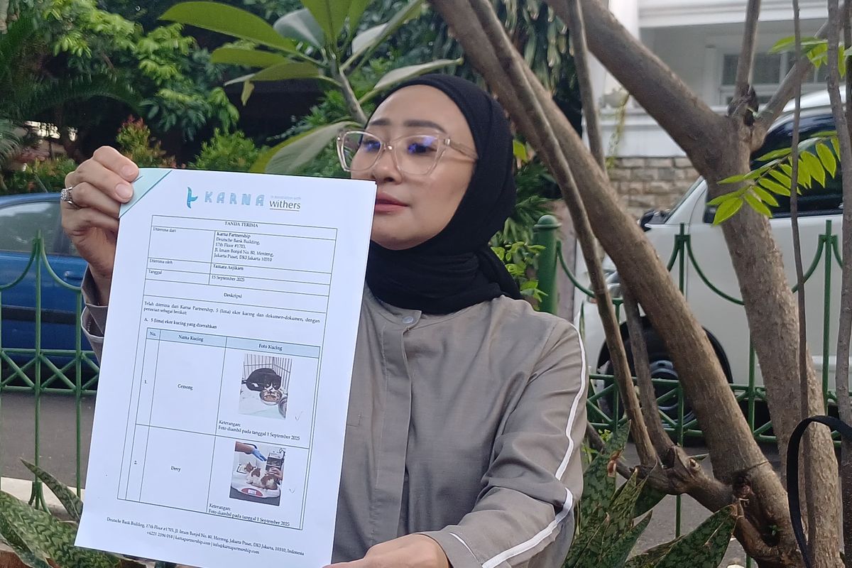 Diduga Kurus karena Malnutrisi, Kucing Uya Kuya Ternyata Sempat ...