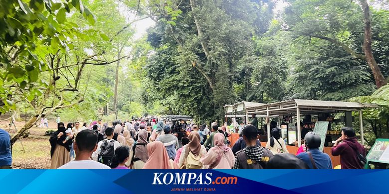 4.000 Pengunjung Padati Kebun Raya Bogor pada Hari Terakhir Cuti Bersama