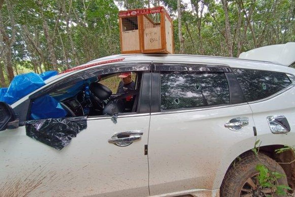 Arena Sabung Ayam TKP 3 Polisi Tewas Dibuka 2 Kali Seminggu, Mobil ...