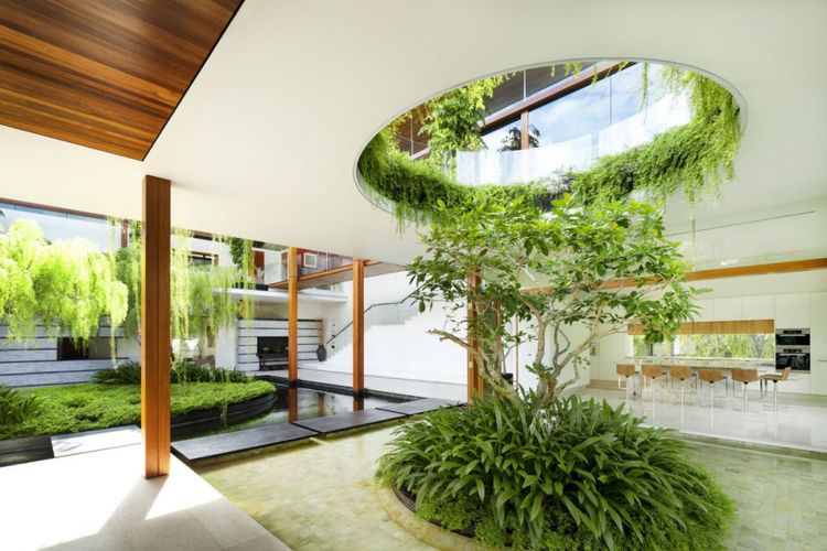 Foto : Pohon dalam Rumah, Arsitektur Nan Sempurna Halaman 9