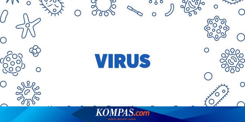 Pengertian Virus, Ciri-ciri, dan Caranya Menginfeksi Manusia
