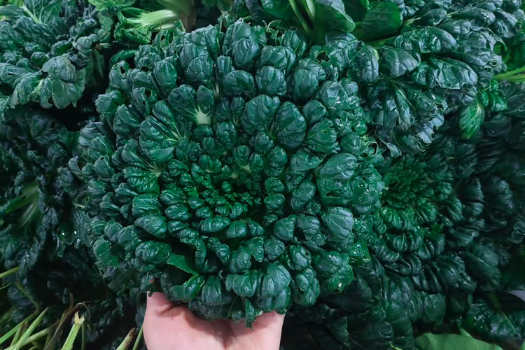 Foto : Viral Video Gen Z Jualan Sayur Unik, Ada Romaine hingga Daun ...