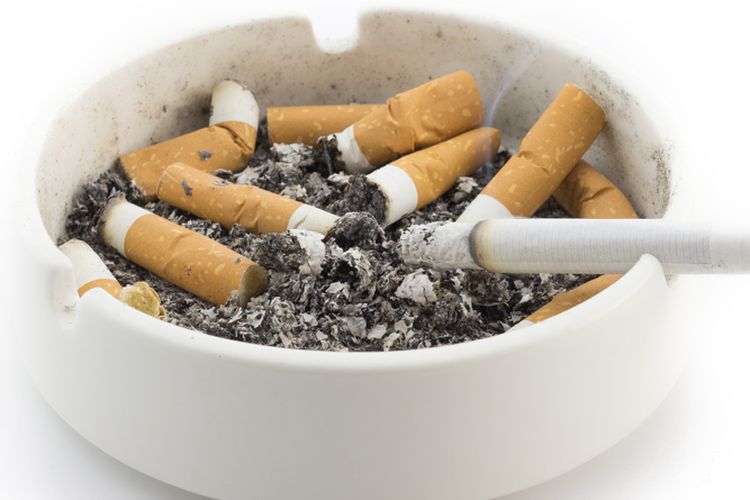 Apakah Abu Rokok Bermanfaat untuk Tanaman? Ini Jawabannya