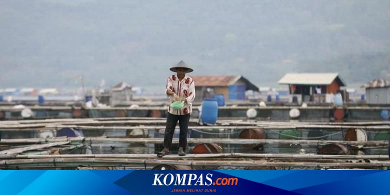 KKP: 8 Investor Dalam Negeri Lirik Pengembangan Industri Perikanan di Indonesia Timur