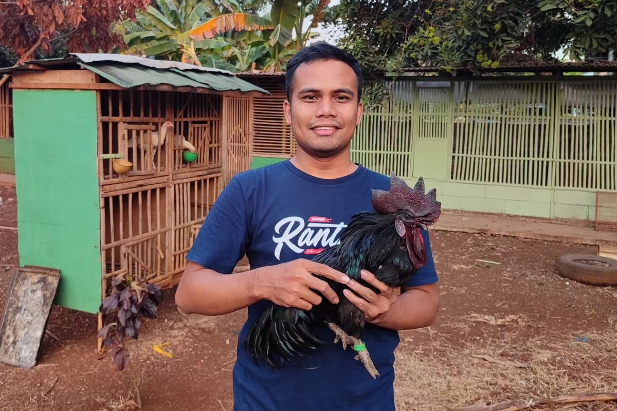Kisah Sukses Febroni Purba, Ubah Nasib Ratusan Peternak dengan ...