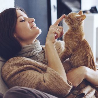 5 Tips Menjaga Kesehatan Mental Kucing Peliharaan