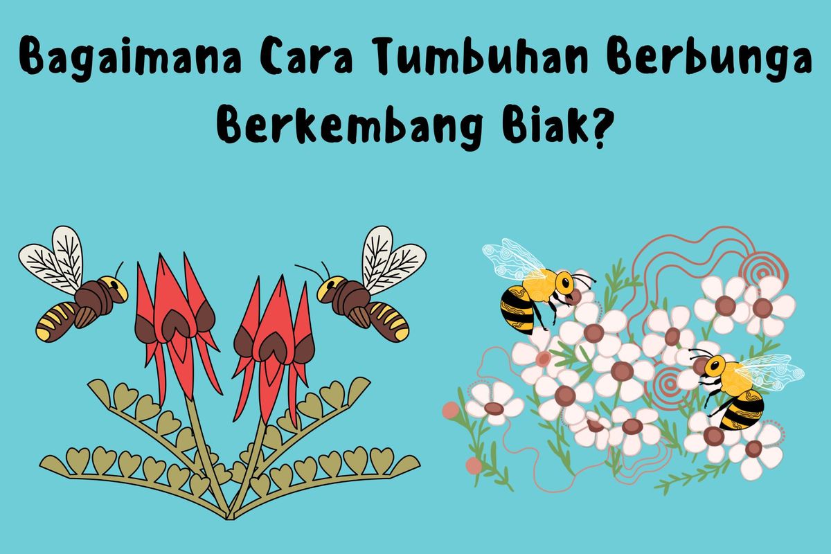 Bagaimana Cara Tumbuhan Berbunga Berkembang Biak?