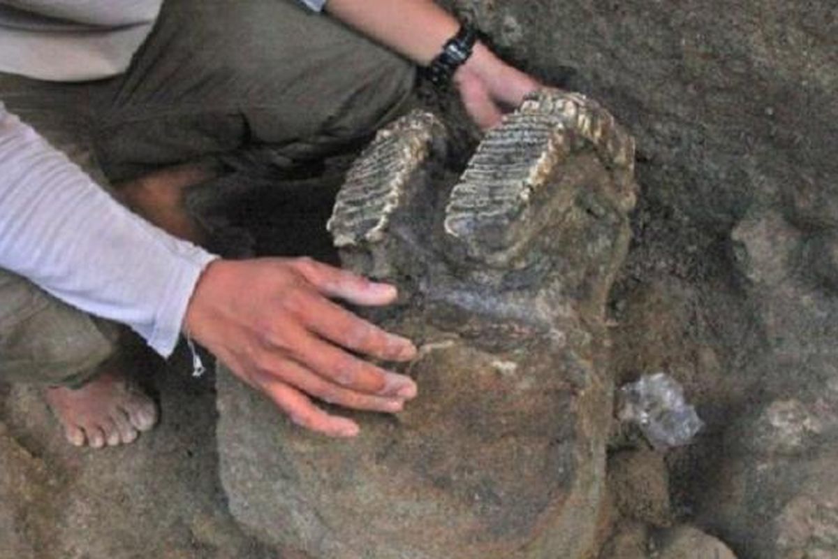 Sangiran, Tempat Penemuan Banyak Fosil Manusia Purba Indonesia