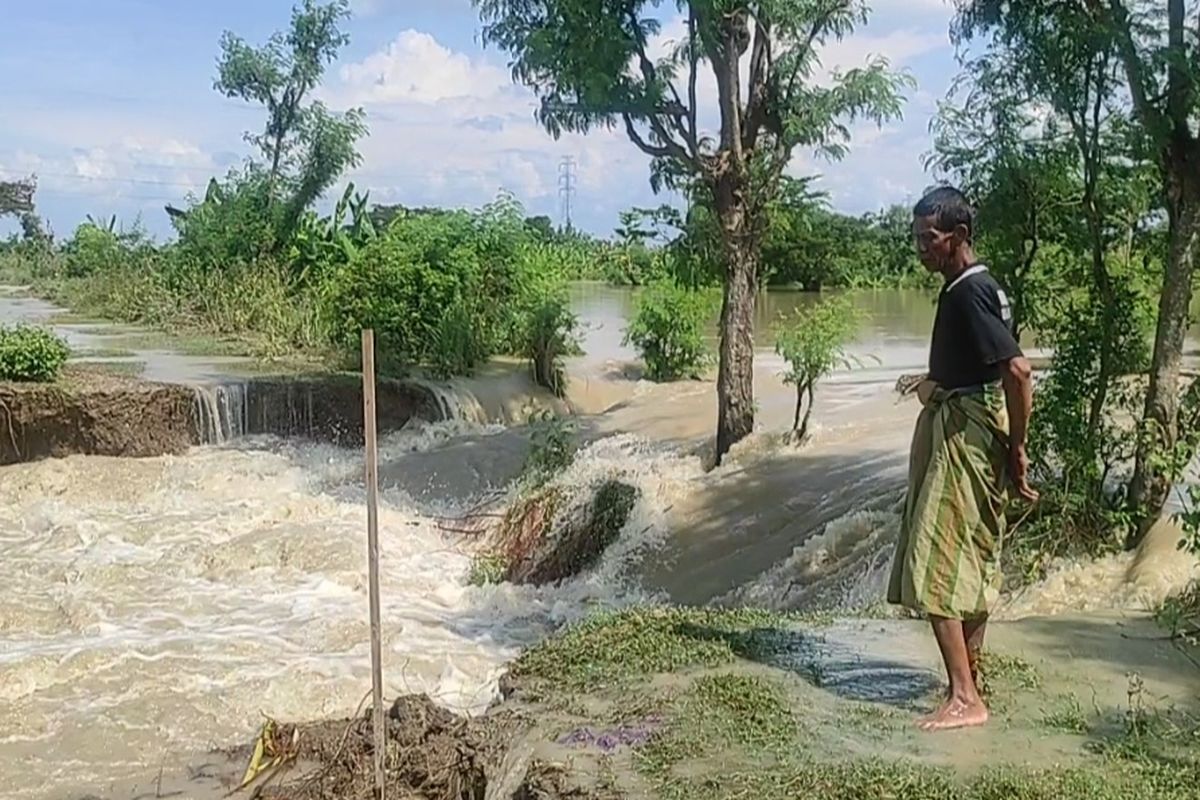 Tanggul Sungai Tuntang Jebol 11 Meter, 5 Desa di Demak Terendam Banjir