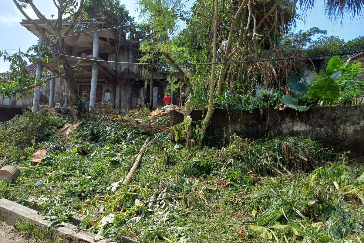 8 Fakta Dokter Wayan yang Hidup di Rumah Mewah Terbengkalai