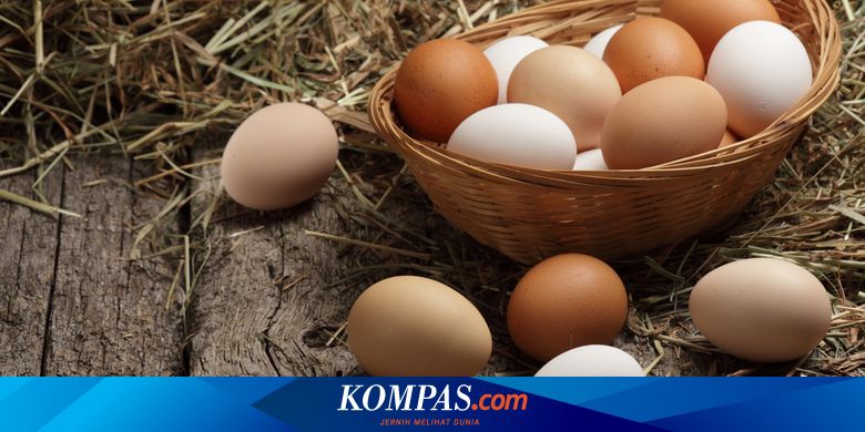 Bedanya Telur Ayam Kampung dan Telur Ayam Negeri, Lihat 4 Faktor Ini...