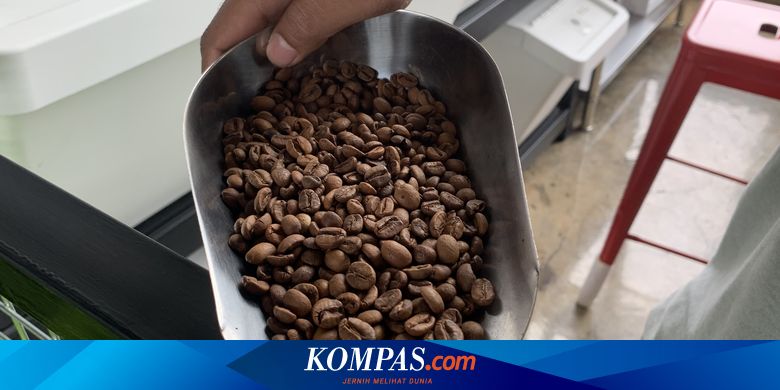 Kopi Solok Radjo, dari Lereng Gunung Talang ke Cangkir Dunia