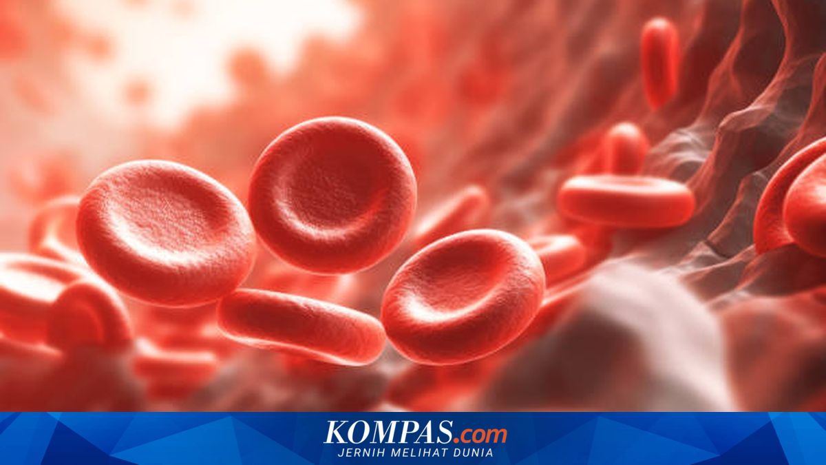 Hari Sel Sabit Sedunia: Penyakit Langka yang Diam-diam Merenggut Nyawa ...