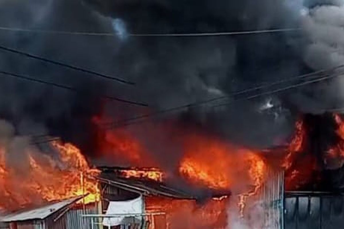 Demi 2 Anaknya Ibu Hamil Tembus Kobaran Api Dan Tewas Terbakar