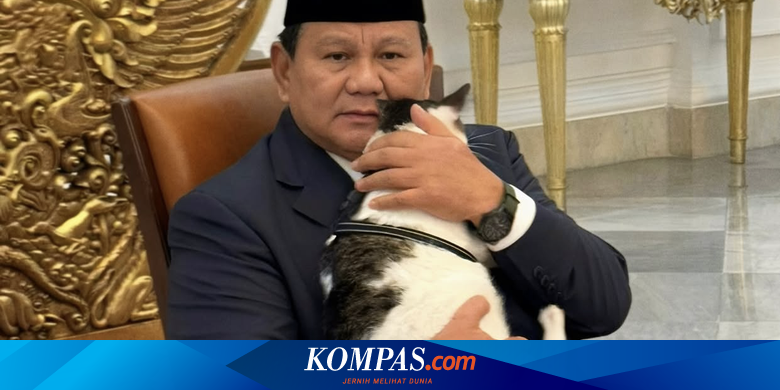 Prabowo Ulang Tahun Hari Ini, Bobby Kertanegara Foto Digendong Prabowo