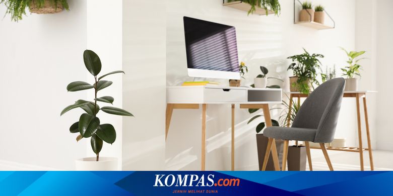 Bukan Mitos, Ini 3 Manfaat Tanaman di Ruang Kerja