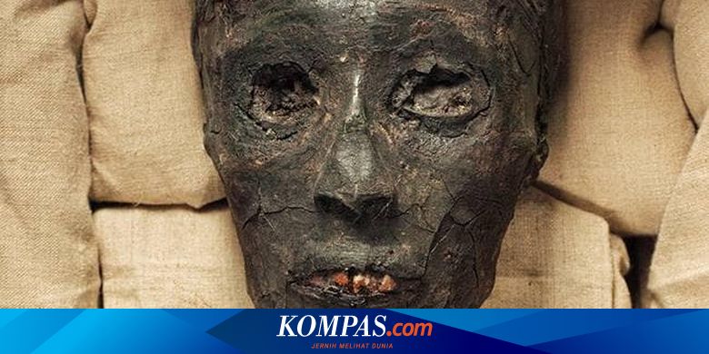 Raja Tut: Pemimpin Mesir Kuno yang Berusia Pendek dan Makam Kutukannya