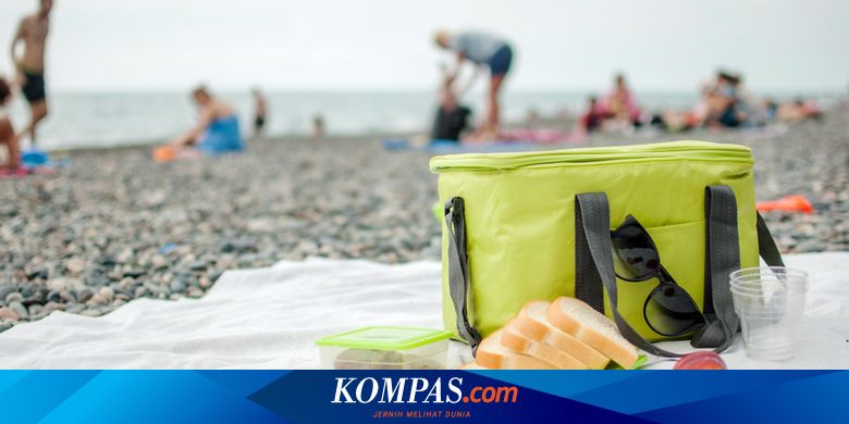 Cara Susun Makanan Beku di Tas, Makanan Piknik Jadi Awet