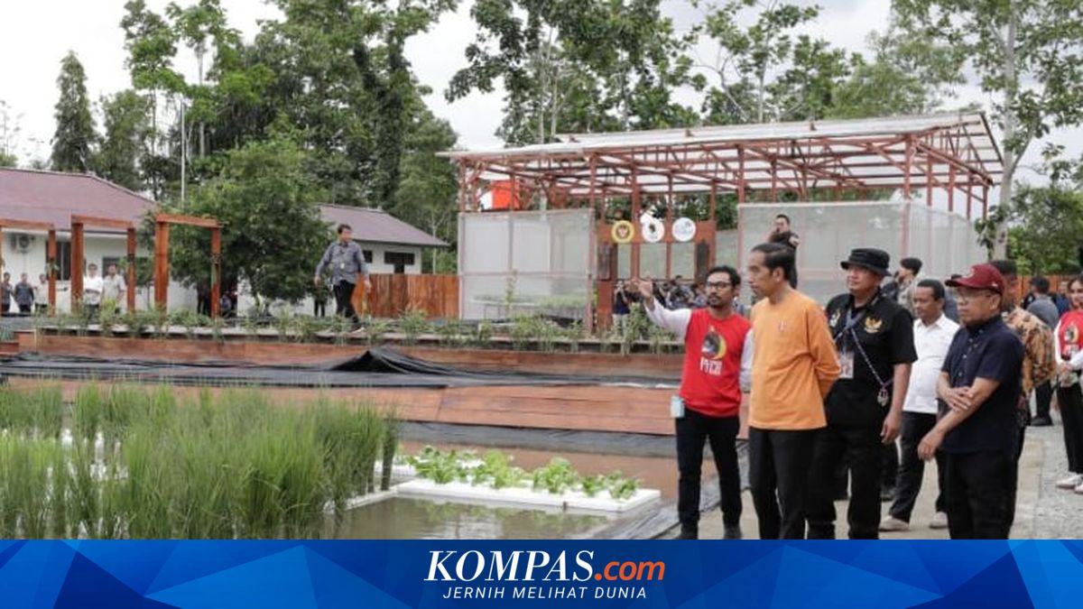 Tekuni Agrobisnis, Talenta PYCH Binaan BIN Diapresiasi Presiden Jokowi