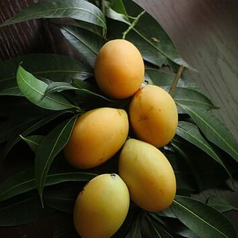 7 Potensi Manfaat Buah Gandaria, Apa Saja?