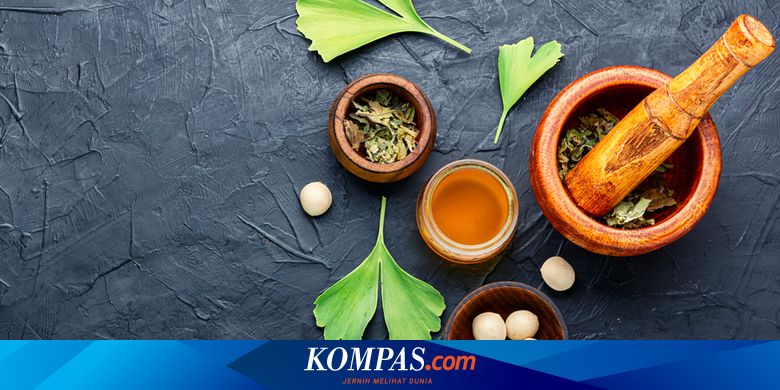 10 Manfaat Ginkgo Biloba untuk Kesehatan