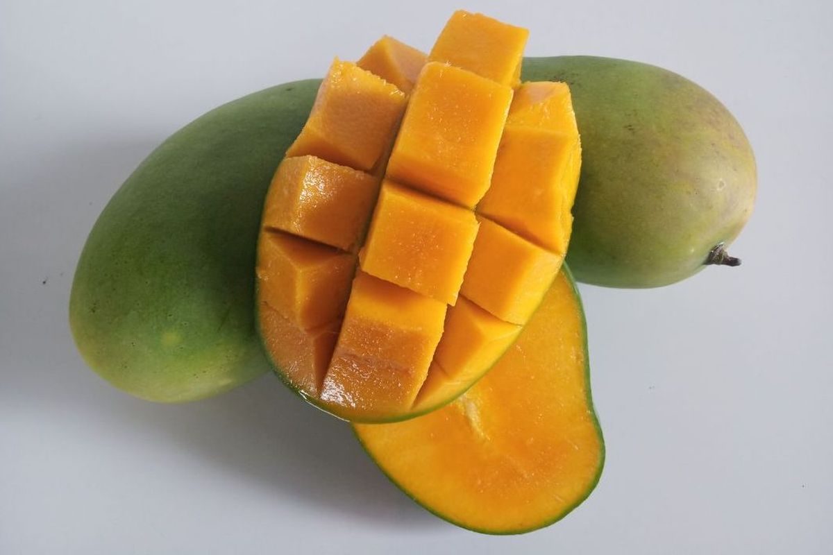 Cara Memilih Mangga Matang dan Manis, Seperti Ini Ciri-cirinya