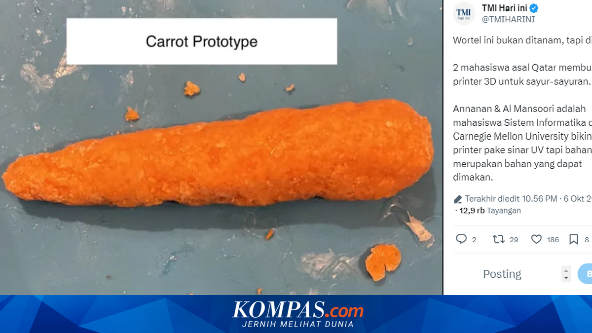 Mahasiswa Qatar Cetak Wortel dengan Printer, Bisa Dimakan dan Sarat ...