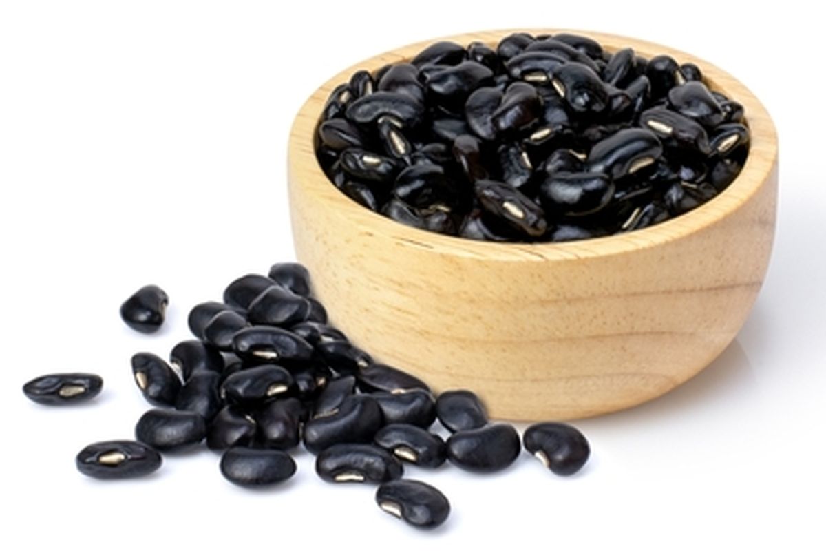 Cara Menanam Kedelai Hitam yang Benar agar Panennya Melimpah