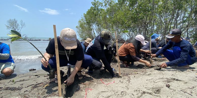 Menteri LH: Mangrove dan Gambut Jadi Kunci Pangkas Emisi