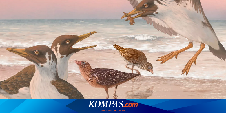 What did the first birds on earth look like? The studio reveals itself ...