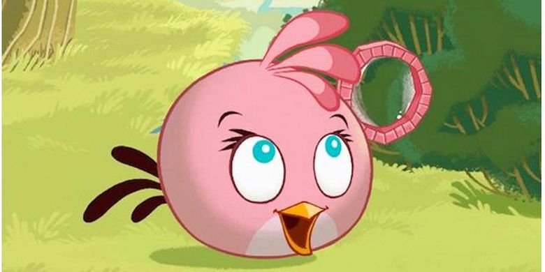 Burung Angry Bird Yang Asli