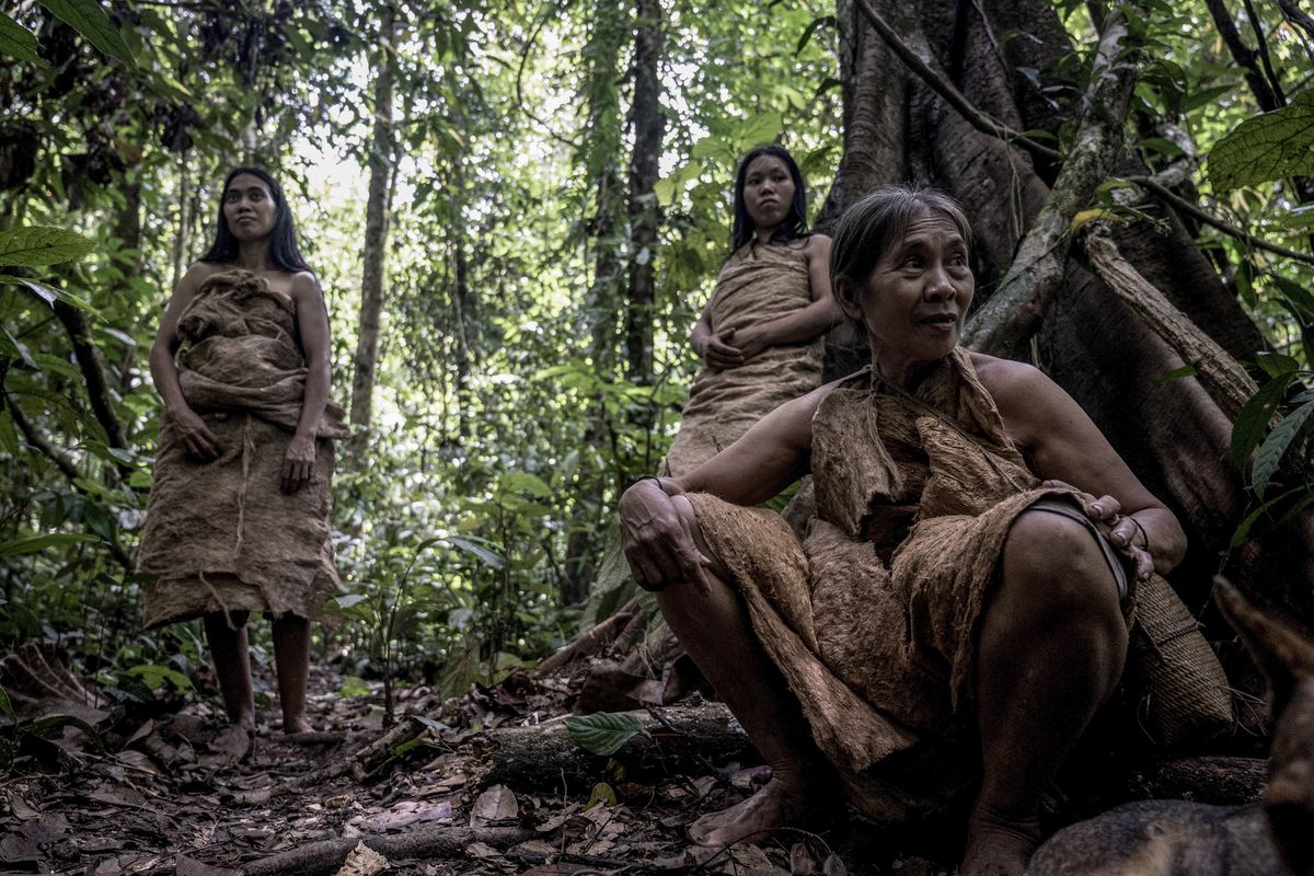 BERITA FOTO: Punan Batu, Suku Pemburu dan Peramu Terakhir di Kalimantan